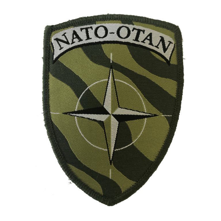 Pin SFOR Bosnia Veteran